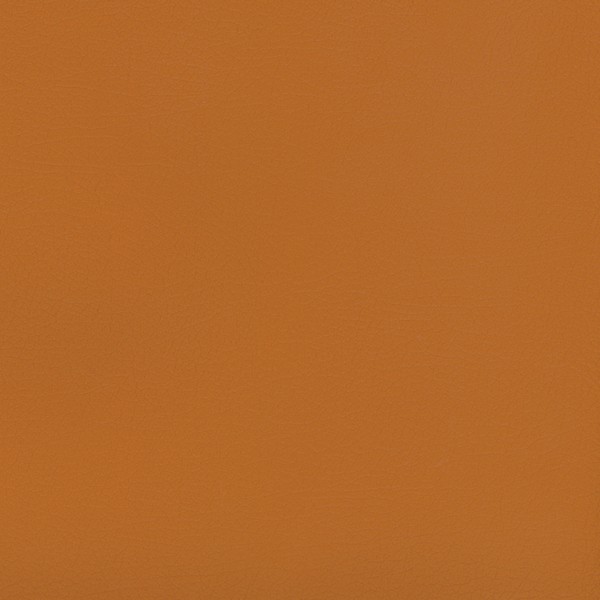 Nuance Turmeric | Aftermarket Vinyl | MiamiCorp