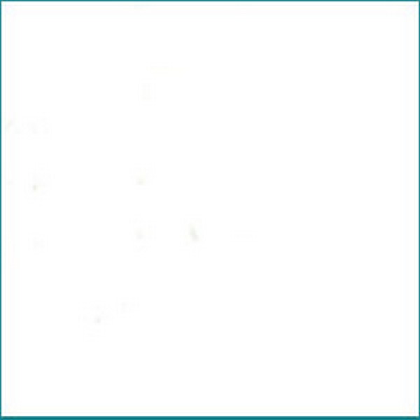 Herculite 90 White | All Topping Fabric | MiamiCorp